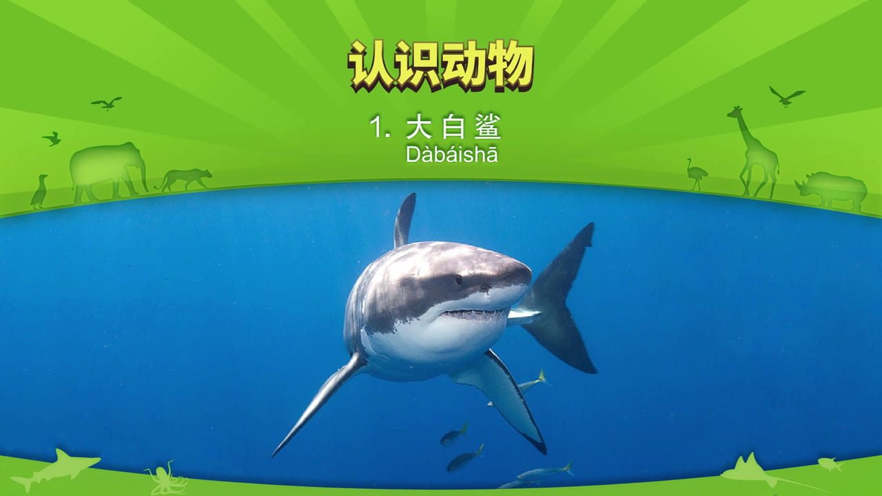 Truyện Hoạt Hình: Meet the Animals - Chị Thỏ Ngọc